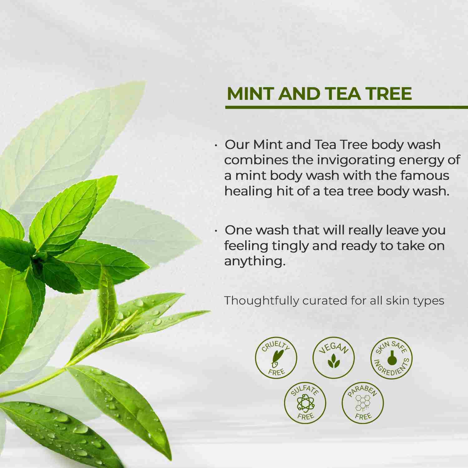 Buy Mint & Tee Tree Body Wash to Nurture Your Skin – Crazy Owl - Your ...